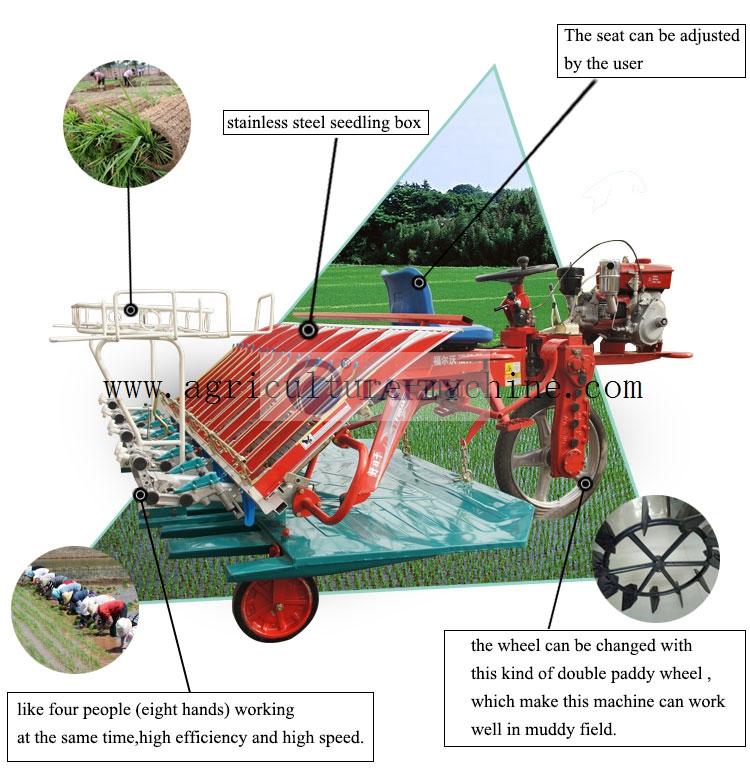 Multi-rows Efficient Rice Transplanter With Affordable Price