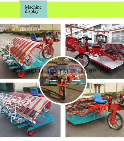 Multi-rows Efficient Rice Transplanter With Affordable Price