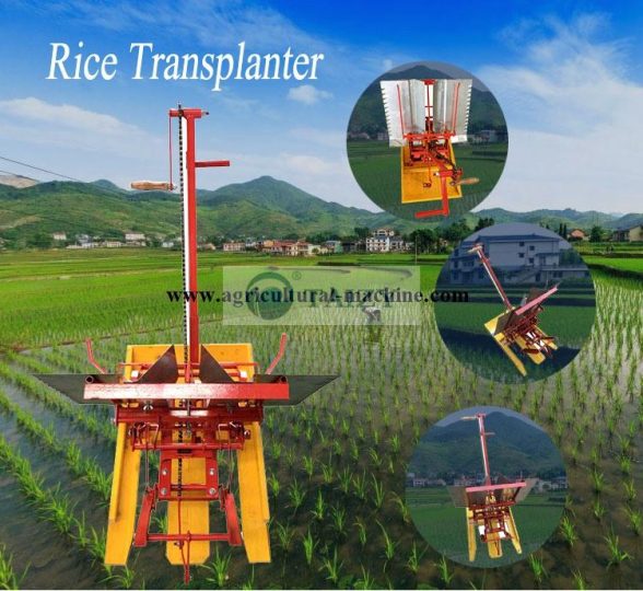 Efficient 2 Row Rice Transplanter Machine With Good Price