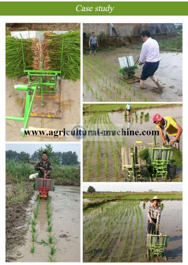 Efficient 2 Row Rice Transplanter Machine With Good Price