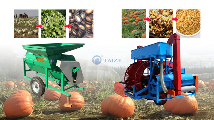 Affordable Watermelon Pumpkin Seed Harvester Machine