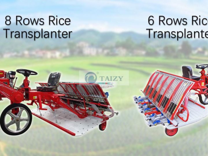 Multi-rows Efficient Rice Transplanter With Affordable Price