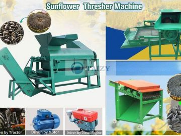 Economical Sunflower Thresher Seeds Shelling Machine