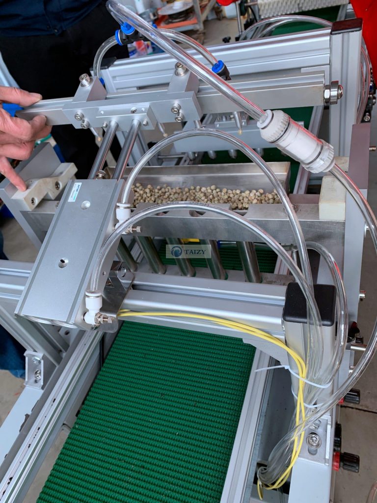 Automatic Tomato Seedling Machine Sold To Morocco