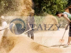 Grain Winnower Machine | Seed Winnower | Seed Winnowing Machine