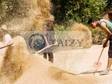 Grain Winnower Machine | Seed Winnower | Seed Winnowing Machine