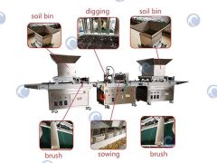 Automatic Nursery Seedling Machine With Affordable Price